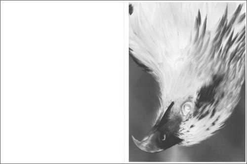 James Tunks – ZONE