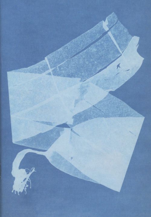 Notebook Sea Algae Cyanotype