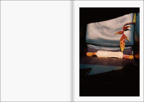 Colin Dodgson - Andean Explorer